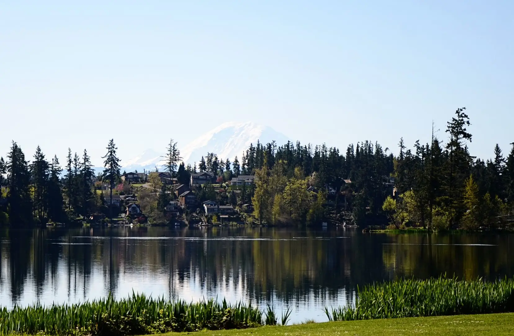 Residential & Commercial Fences in Maple Valley WA - Inline Fence